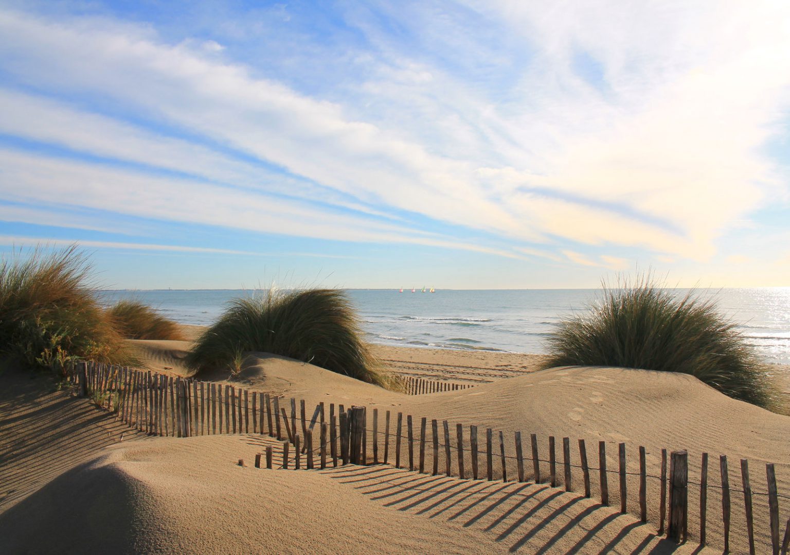 Les plages magnifiques de Camargue - Mas Saint Sauveur